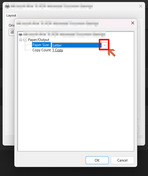 Windows 11 Printer Settings for DYMO Label Printer – Self Service