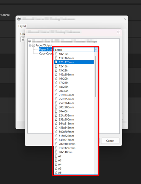 Windows 11 Printer Settings for DYMO Label Printer – Self Service